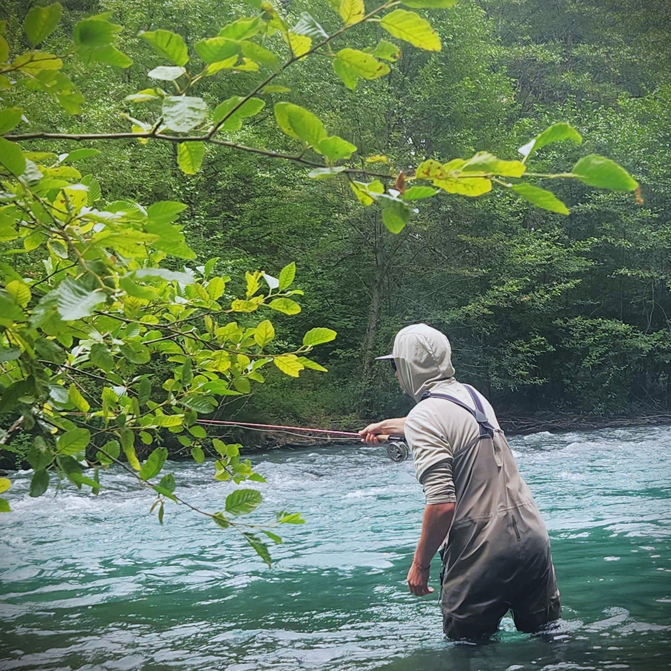 How Do I Start Fly Fishing as a Beginner? Your simple, stress-free gui ...