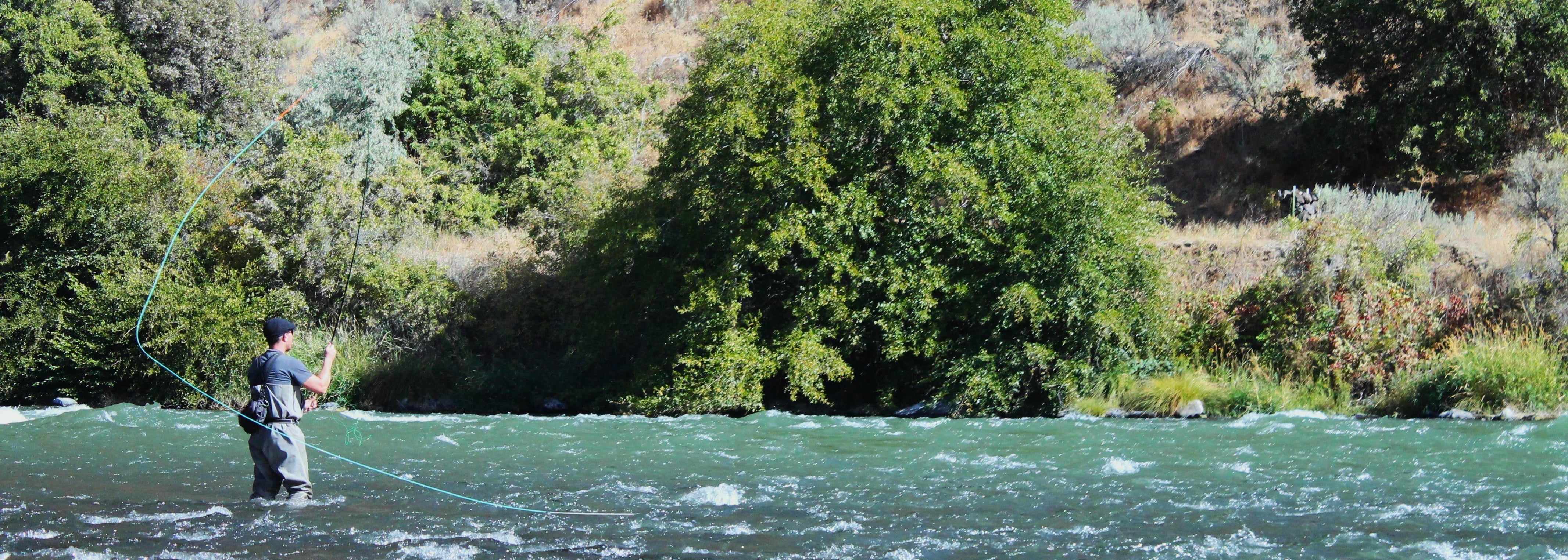 The 5 Best Spring Trout Flies Every Angler Should Carry — Big Y Fly Co