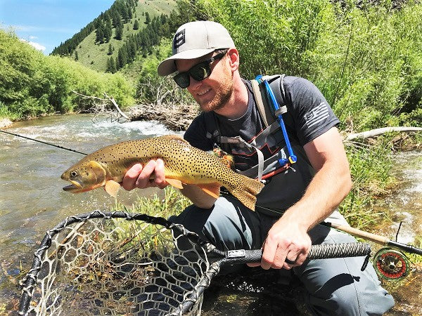 October 2019 #4 — Big Y Fly Co