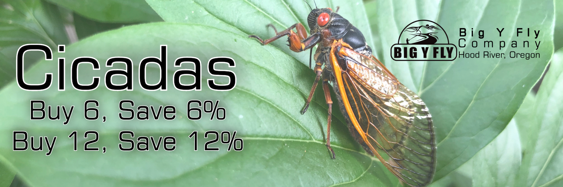 Cicadas Fly Fishing patterns | Big Y Fly Co
