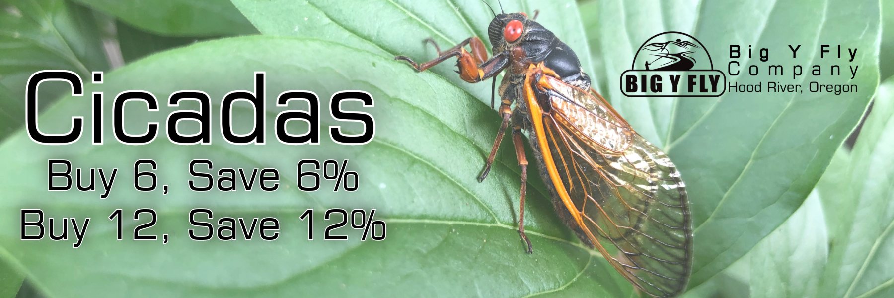 Cicadas Fly Fishing patterns | Big Y Fly Co