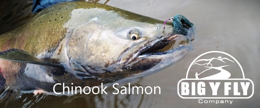 Chinook (King) Salmon Flies – Proven Salmon Patterns | Big Y Fly Co