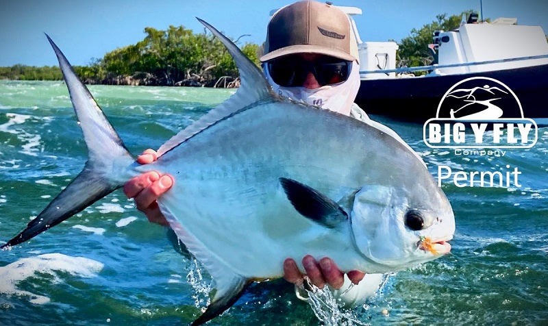 Permit Flies – Proven Patterns for Permit Fishing | Big Y Fly Co