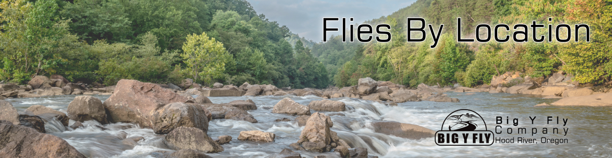 Flies by Location — Big Y Fly Co