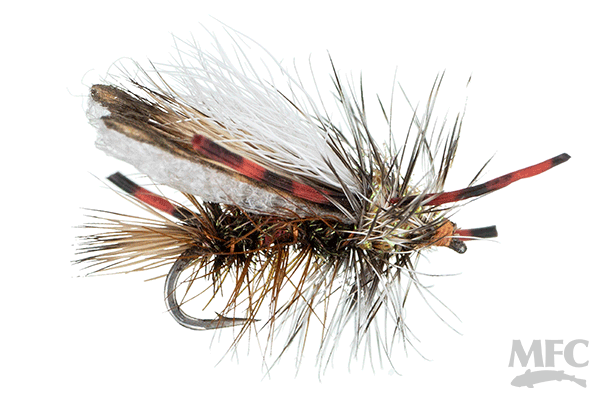 Stimi Chew-Toy - Montana Fly Co — Big Y Fly Co