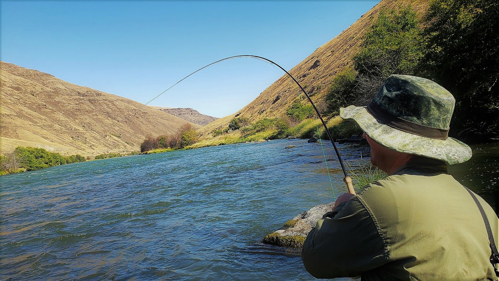 Pacific Steelhead - Summer Run — Big Y Fly Co