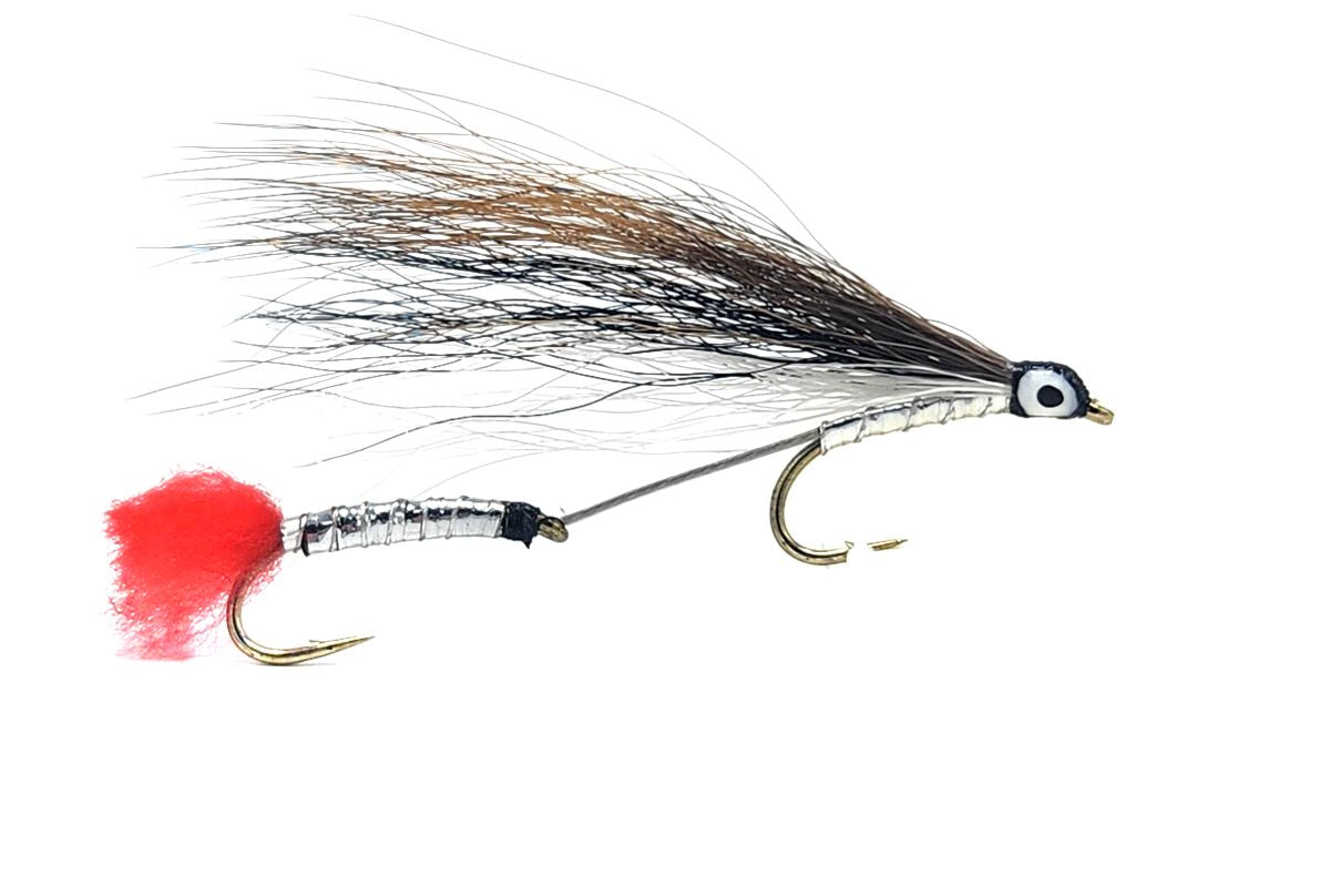 Black Nose Dace-Discount Fishing Flies-BigYFlyCo.Com — Big Y Fly Co