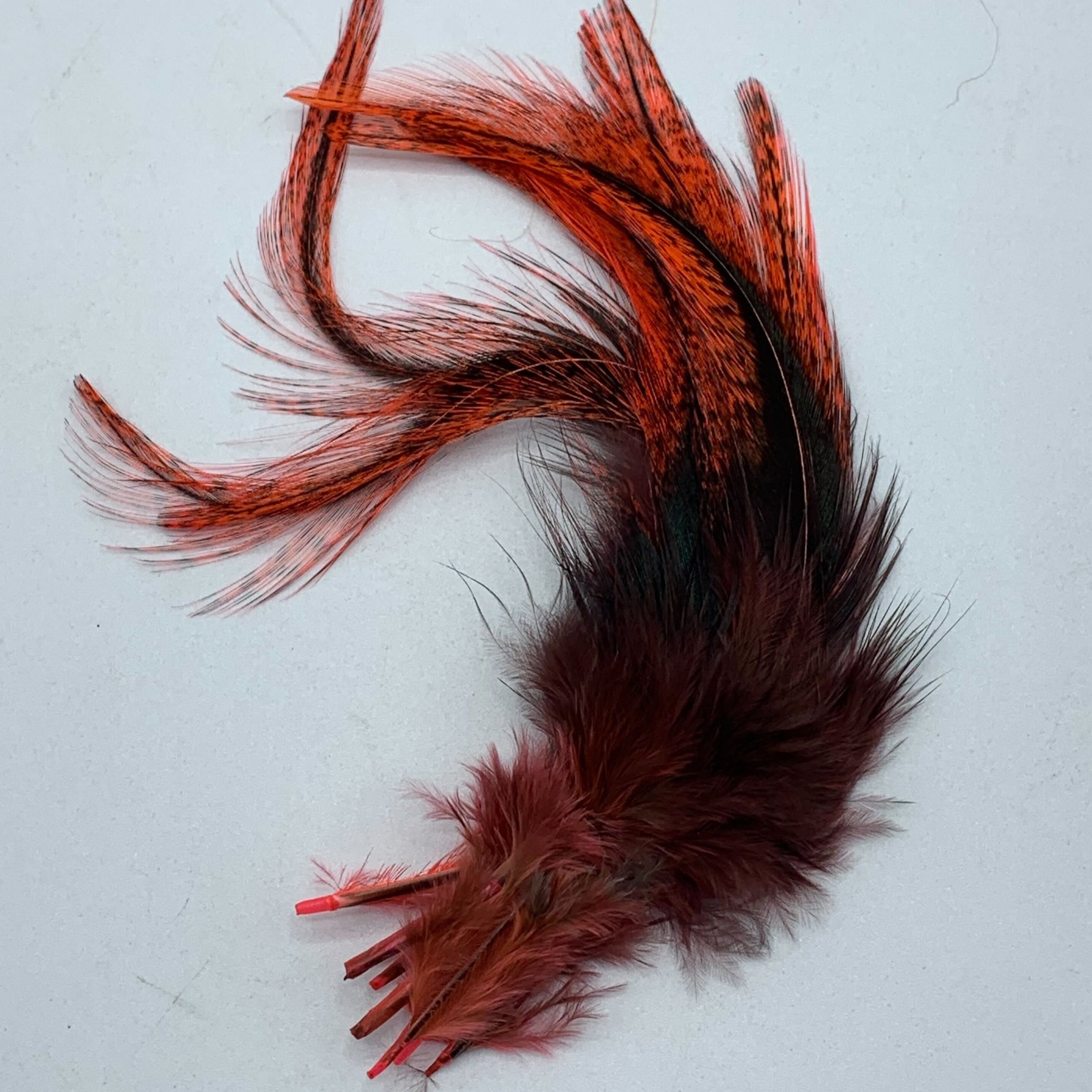Coq De Leon UV2 Perdigon Fire Tail Feathers-Fly Tying Feathers ...