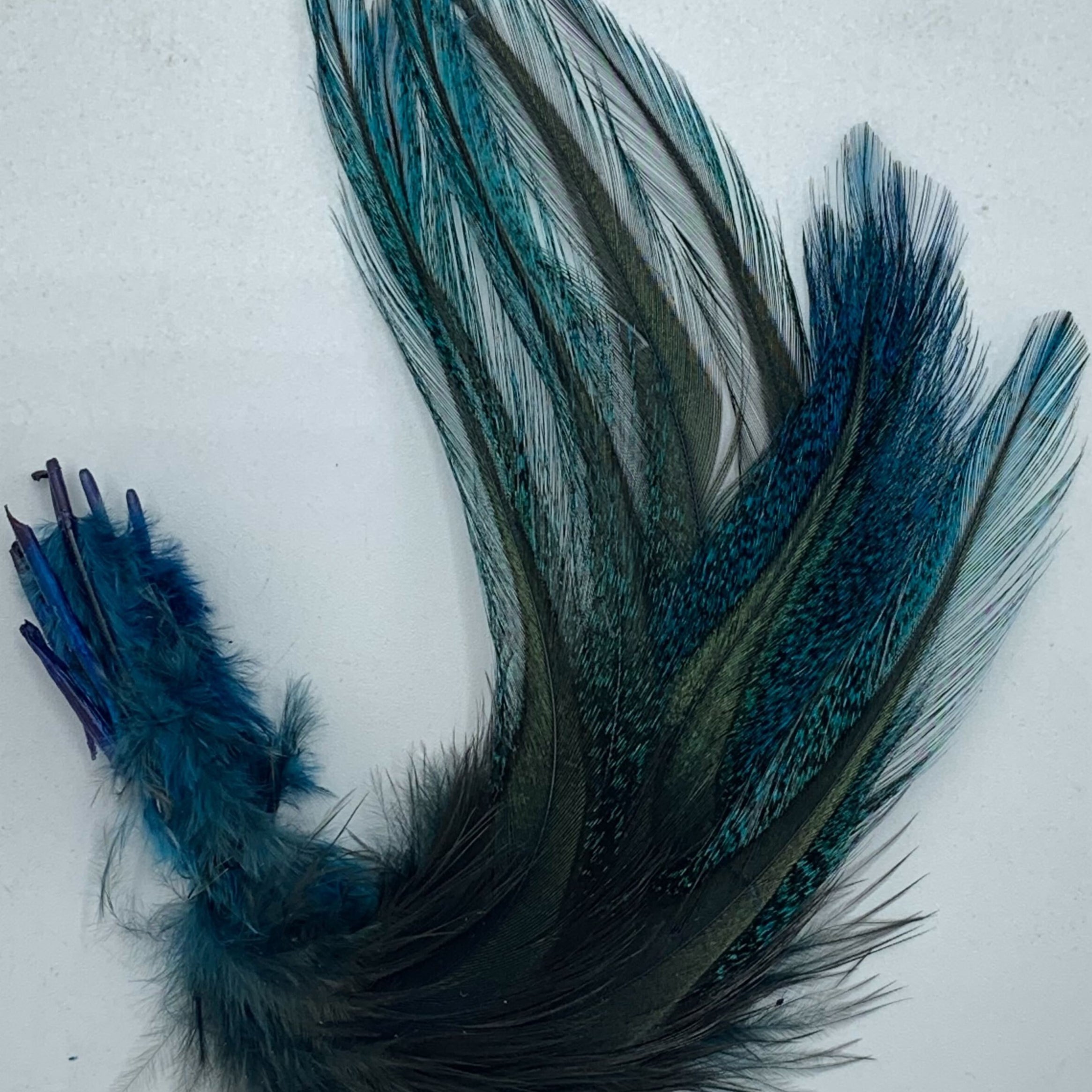 Coq De Leon UV2 Perdigon Fire Tail Feathers-Fly Tying Feathers ...