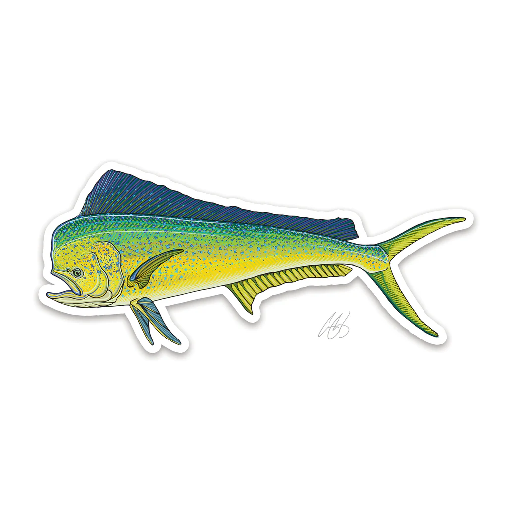Casey Underwood Artwork - Mahi Mahi — Big Y Fly Co