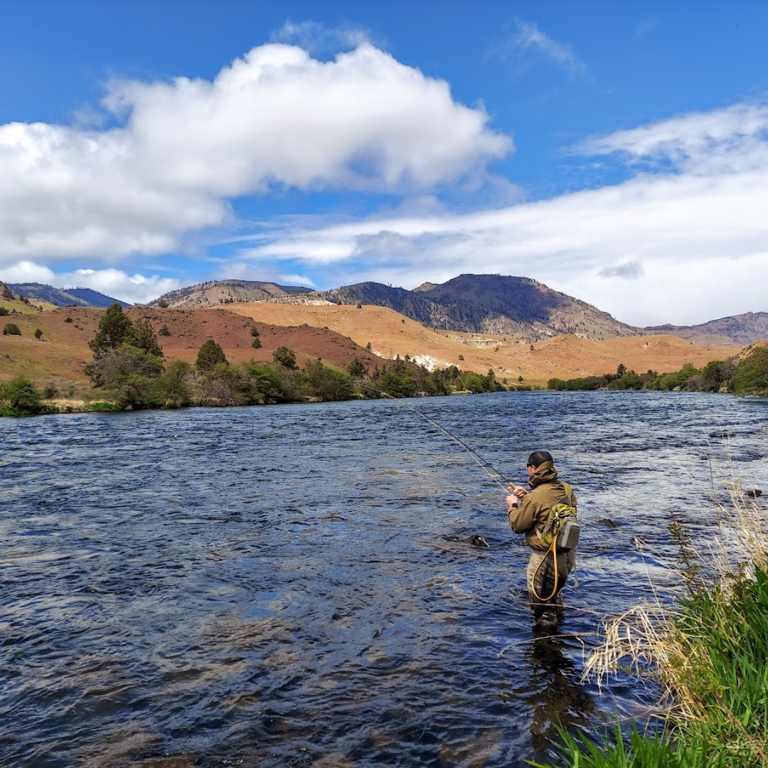 Big Y Fly Co® Best Selling Fly Fishing Flies-Since 2004-Discount Flies
