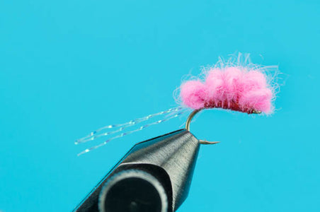 Sucker Spawn — Big Y Fly Co