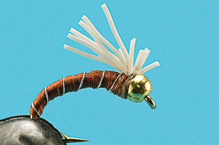 3 Dollar Dip-Beadhead--Discount Trout Fishing Flies — Big Y Fly Co