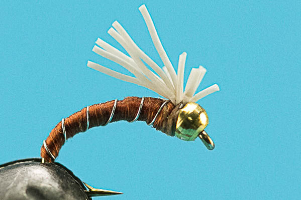 Hellgrammite-Premium Flies-BigYFlyCo.com — Big Y Fly Co