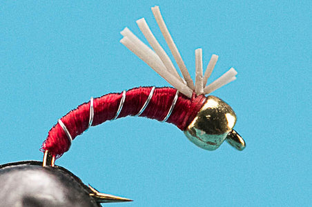 3 Dollar Dip-Beadhead--Discount Trout Fishing Flies — Big Y Fly Co