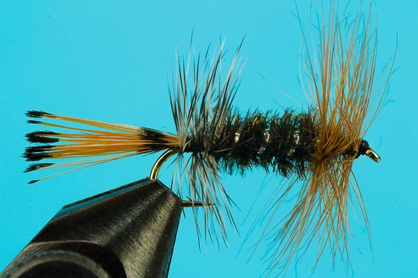 Arizona Peacock Lady-Discount Trout Flies- BigYFlyCo.com — Big Y Fly Co