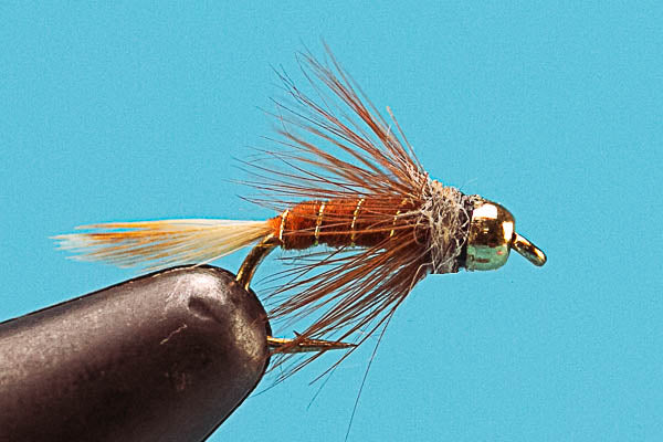 Beadhead Alder Larva-Discount Fishing Flies-BigYFlyCo.com — Big Y Fly Co