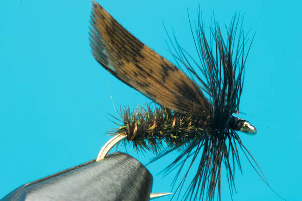 Alder Dry Fly-Fishing Flies-BigYFlyCo.com — Big Y Fly Co