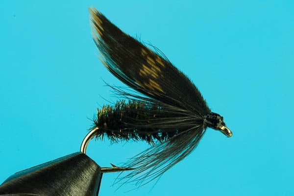 Alder Wet Fly-discount trout flies--fishing flies — Big Y Fly Co
