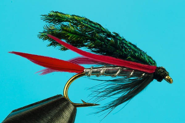 Alexandra Wet Fly-Discount Trout flies- Big Y Fly Co