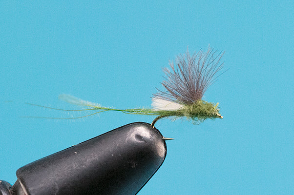 Blue Wing Olive Extended Body-Dry Flies-BigYFlyCo.com — Big Y Fly Co