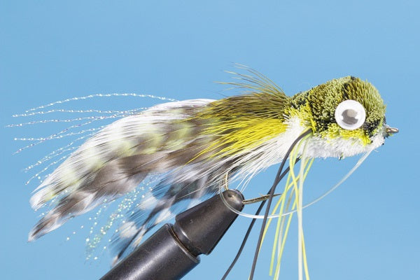 Bass Bug Frog-Bass Flies-BigYFlyCo.com — Big Y Fly Co