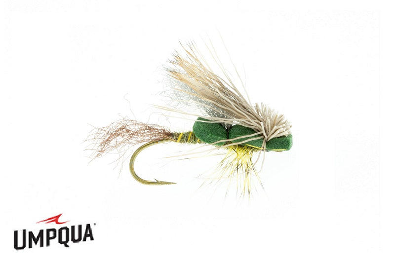 Bi-Wing Drake--Umpqua--BigYFlyCo.com — Big Y Fly Co