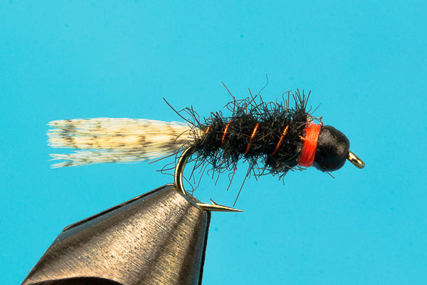 Black Out-Fly Fishing Flies-BigYFlyCo.com — Big Y Fly Co