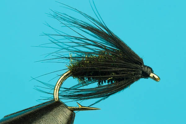 Black & Peacock Wet Fly-Discount trout fishing flies-Big Y Fly Co