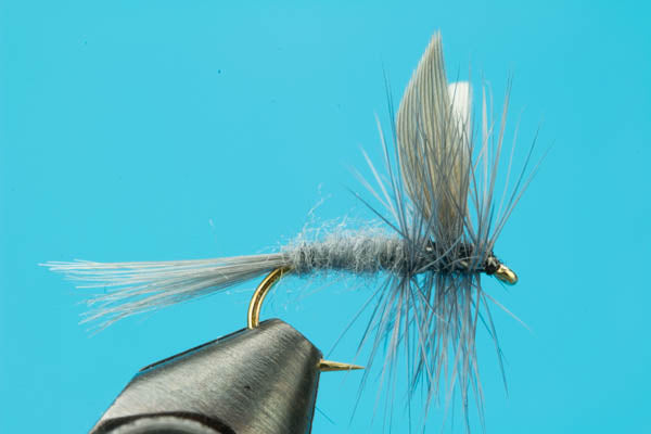 Blue Dun-Discount Fishing Flies-BigyFlyCo.com — Big Y Fly Co