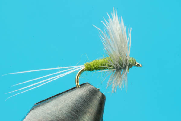 Blue Wing Olive Thorax-Dry Flies-BigYFlyCo.com — Big Y Fly Co