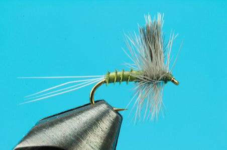 CDC Biot BWO Thorax-Dry Flies-BigYFlyCo.com — Big Y Fly Co