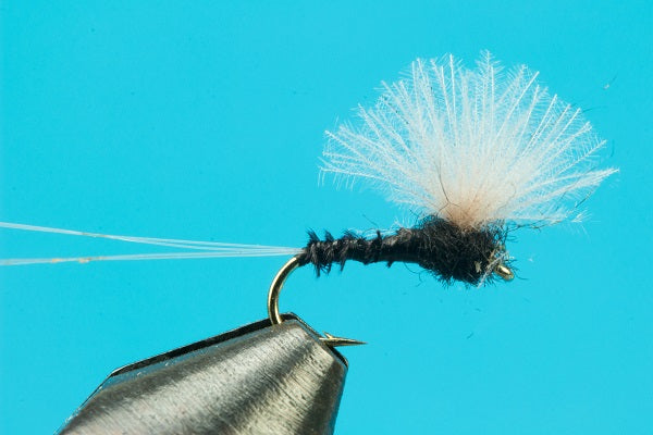 CDC Biot Comparadun Trico-Fishing Flies-BigYFlyCo.com — Big Y Fly Co