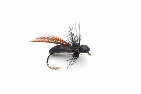 Carpenter Ant--Umpqua Flies--BigYFlyCo.com — Big Y Fly Co