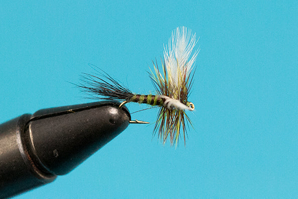 Green Drake Flies – Dries, Emergers & Nymphs Big Y Fly Co