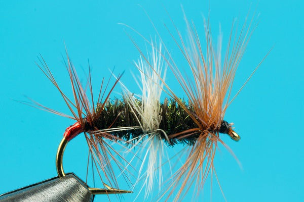 Double Renegade-Mayfly Flies-BigYFlyCo.com — Big Y Fly Co