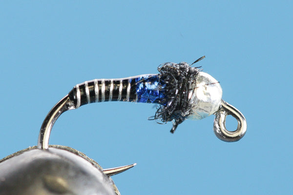 Euro Copper Zebra -Nymphs-BigYFlyCo.Com — Big Y Fly Co