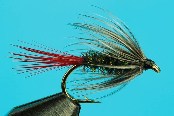 Gray Hackle Wet Fly-Trout Flies-BigYFlyCo.com — Big Y Fly Co