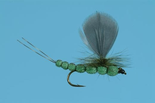 Green Drake Flies – Dries, Emergers & Nymphs Big Y Fly Co