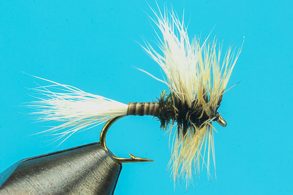 H & L Variant-Dry Flies-BigYFlyCo.com — Big Y Fly Co