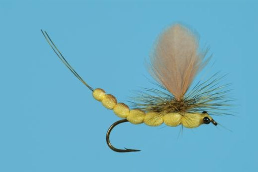 Hex & Big Drake Flies – Hexagenia Dries, Emergers & Nymphs Big Y Fly Co