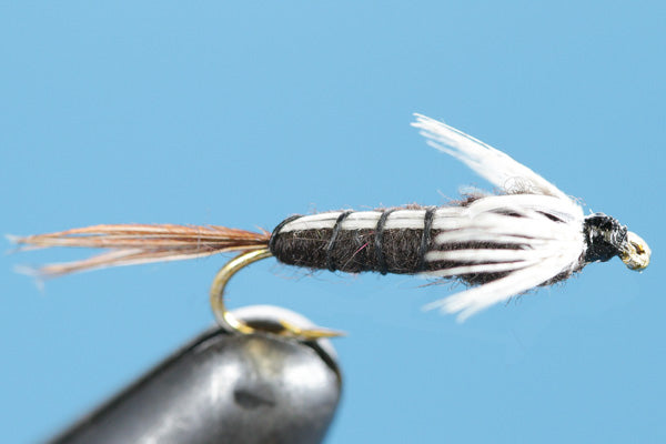 Isonychia Nymph-Fishing Flies-BigYFlyCo.com — Big Y Fly Co