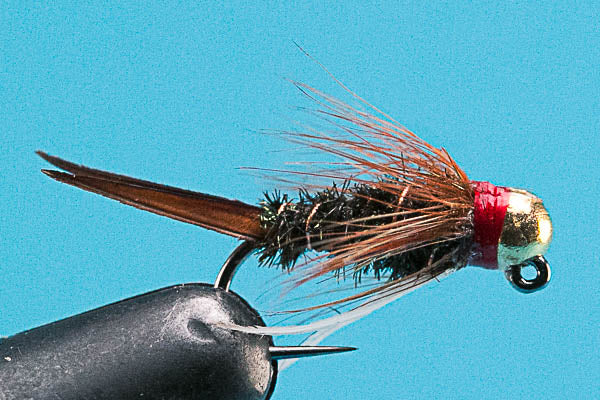 Jiggy Prince-Euro Flies-BigYFlyCo.com — Big Y Fly Co
