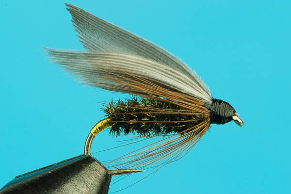 Leadwing Coachman Wet Fly-Discount Flies-BigYFlyCo.com — Big Y Fly Co