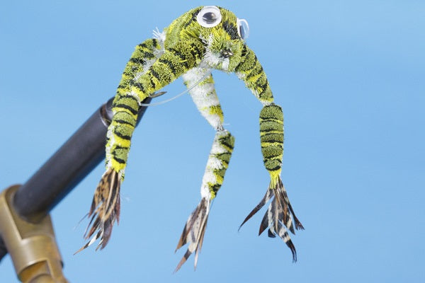 Leopard Frog-Discount Fishing Flies-BigYFlyCo.com — Big Y Fly Co