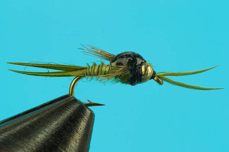 Beadhead Micro Stone Fly-Discount Flies-BigYFlyCo.com — Big Y Fly Co