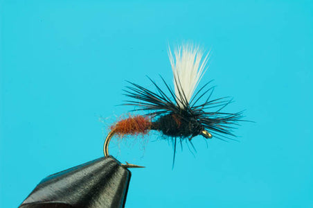 Parachute Ant-Terrestrial Flies-BigYFlyCo.com — Big Y Fly Co