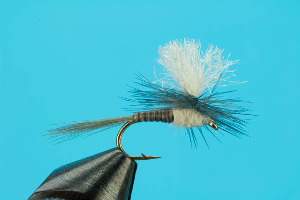 Parachute Light Hendrickson-Discount Trout Flies-BigYFlyCo.Com — Big Y ...