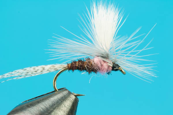 Parachute Pink Albert-Dry Flies-BigYFlyCo.com — Big Y Fly Co