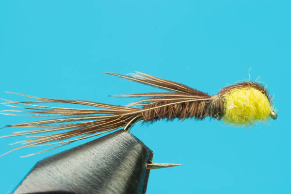 Pheasant Tail Sulphur-Nymph Patterns-BigYFlyCo.com — Big Y Fly Co